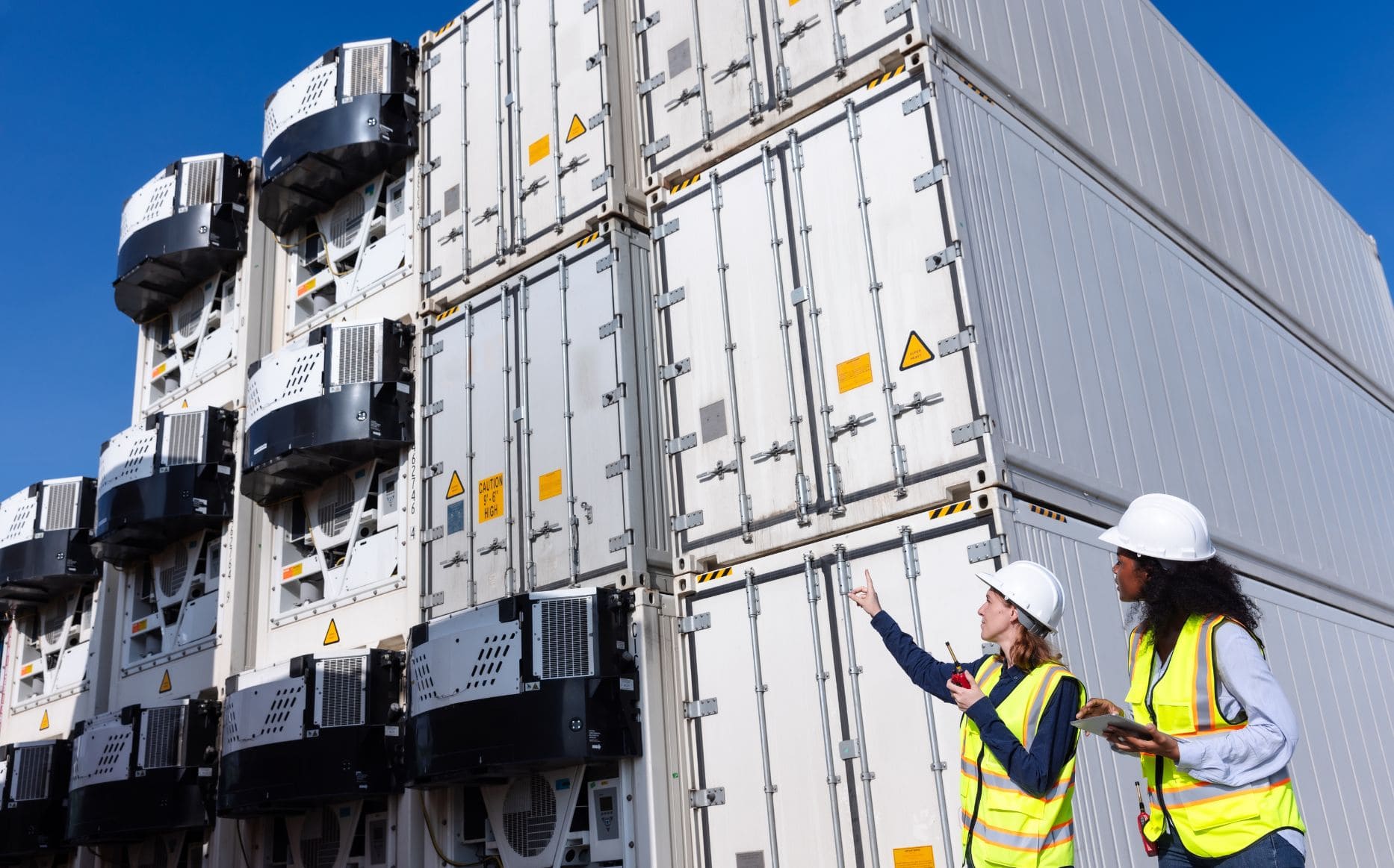 Cold Chain Logistics: Proses, Elemen dan Cara Optimalkannya