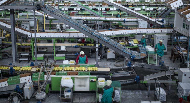 Assembly Line: Evolusi, Peran, dan Solusi di Produksi Massal