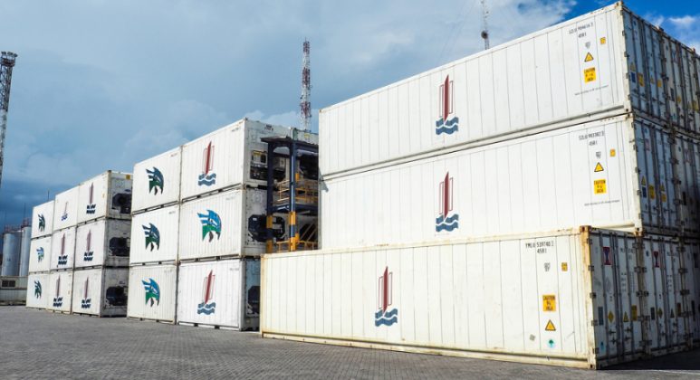 Apa itu Reefer Container? Fungsi, Cara Kerja, dan Jenisnya
